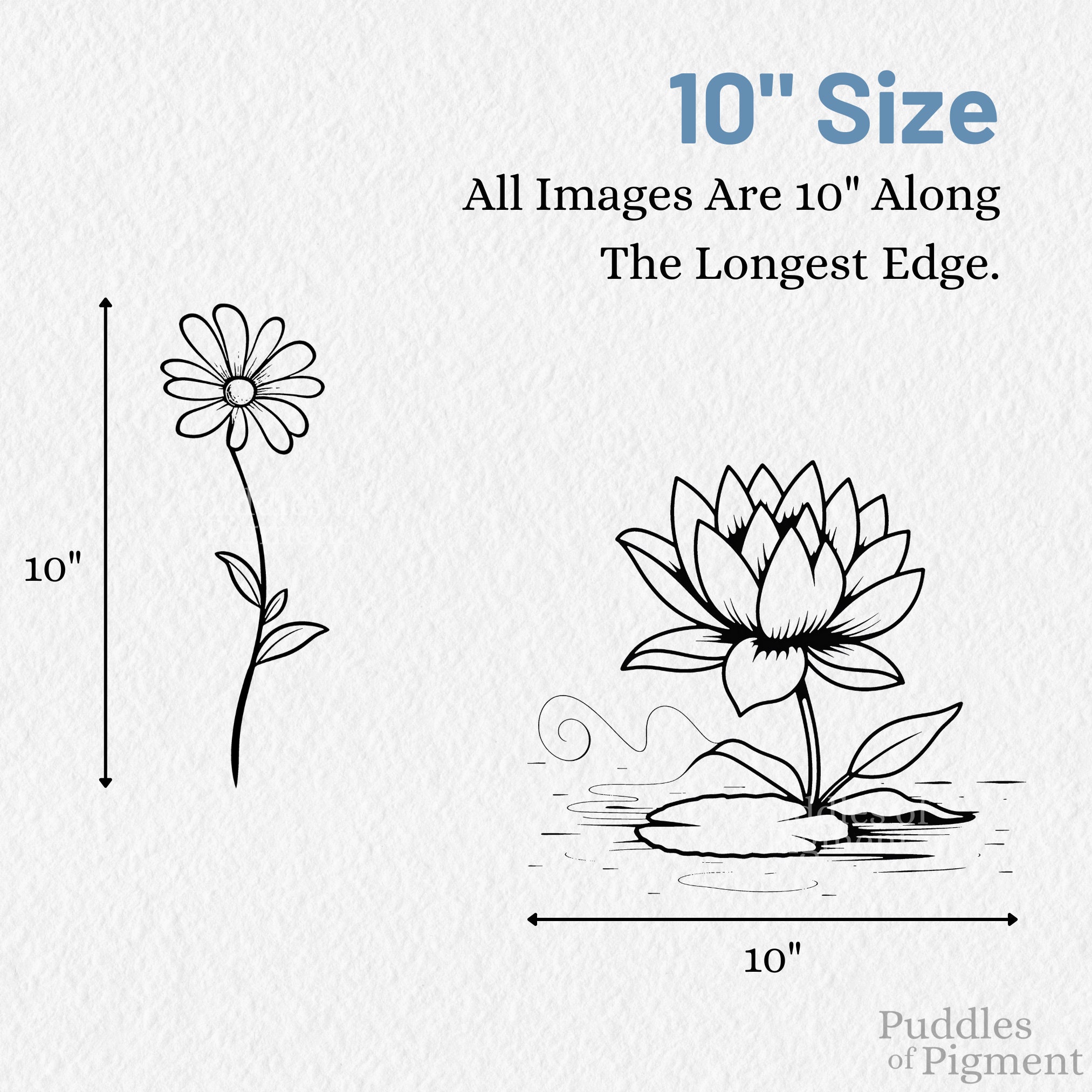 Line Art Birth Month Flower Clipart Bundle Png Svg Files Commercial Licence Simple Birth