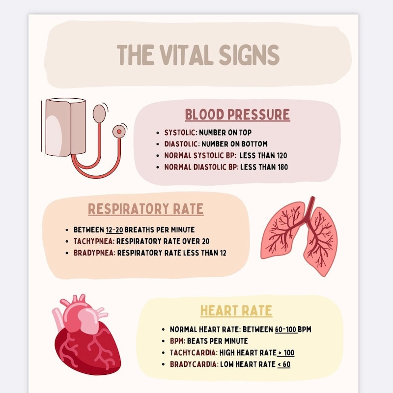 Vital Signs Template Etsy