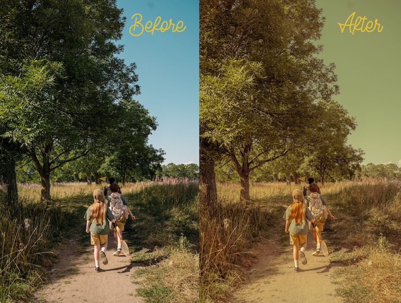 Wes Anderson Presets Color Grading Presets Lightroom Presets Moonrise ...