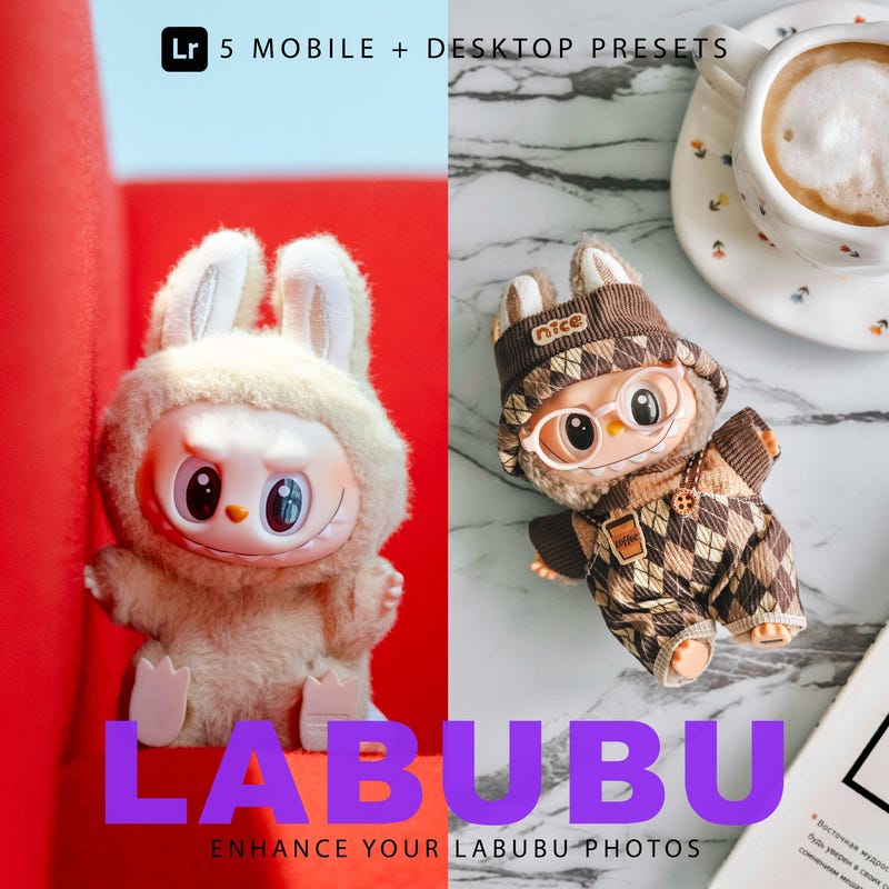 Labubu With Camera - Etsy