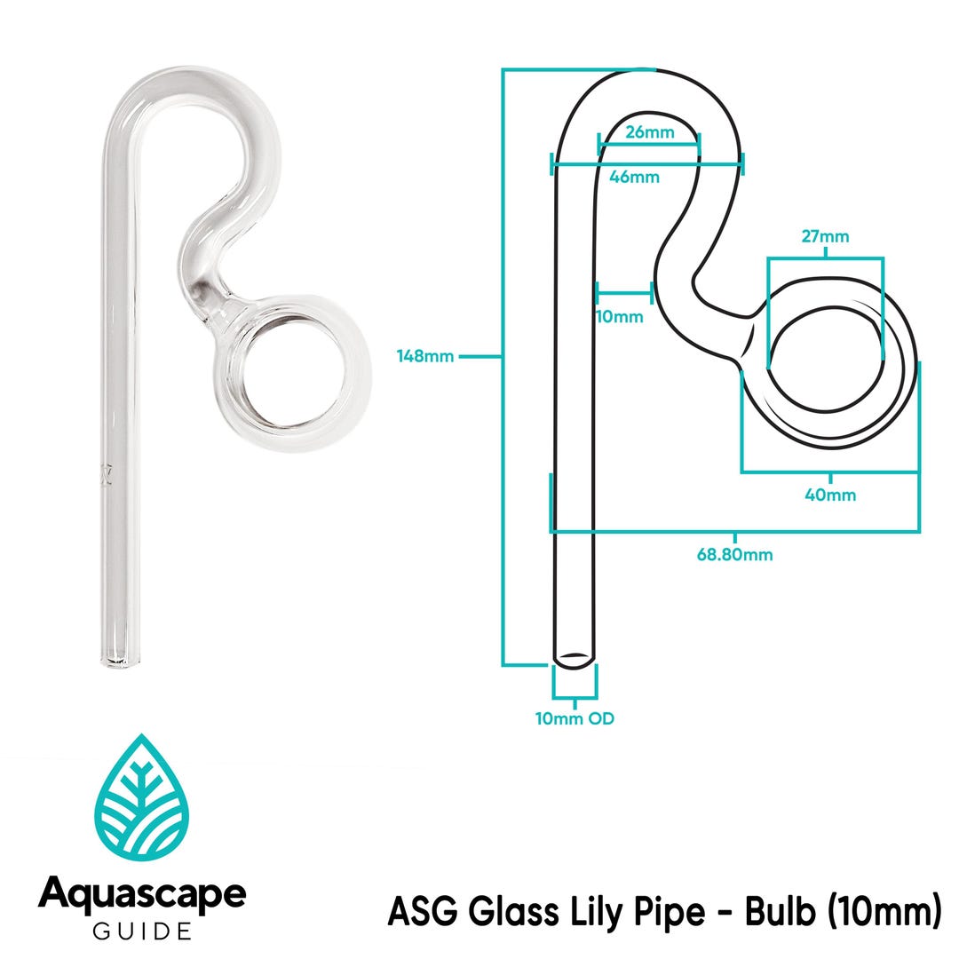 ASG Glass Lily Pipe - Bulb - Etsy