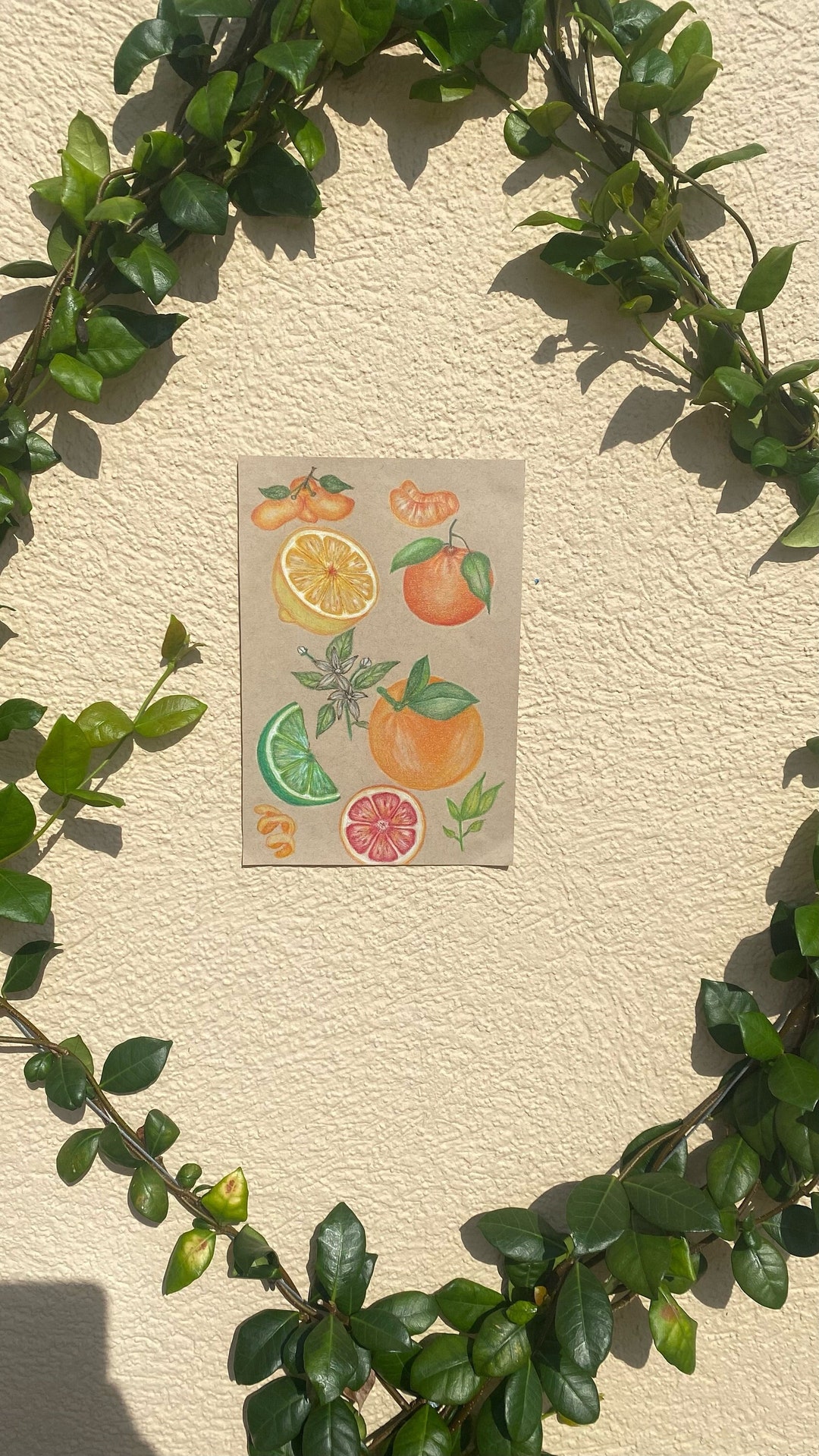 Colored Pencil Citrus Reference Original - Etsy