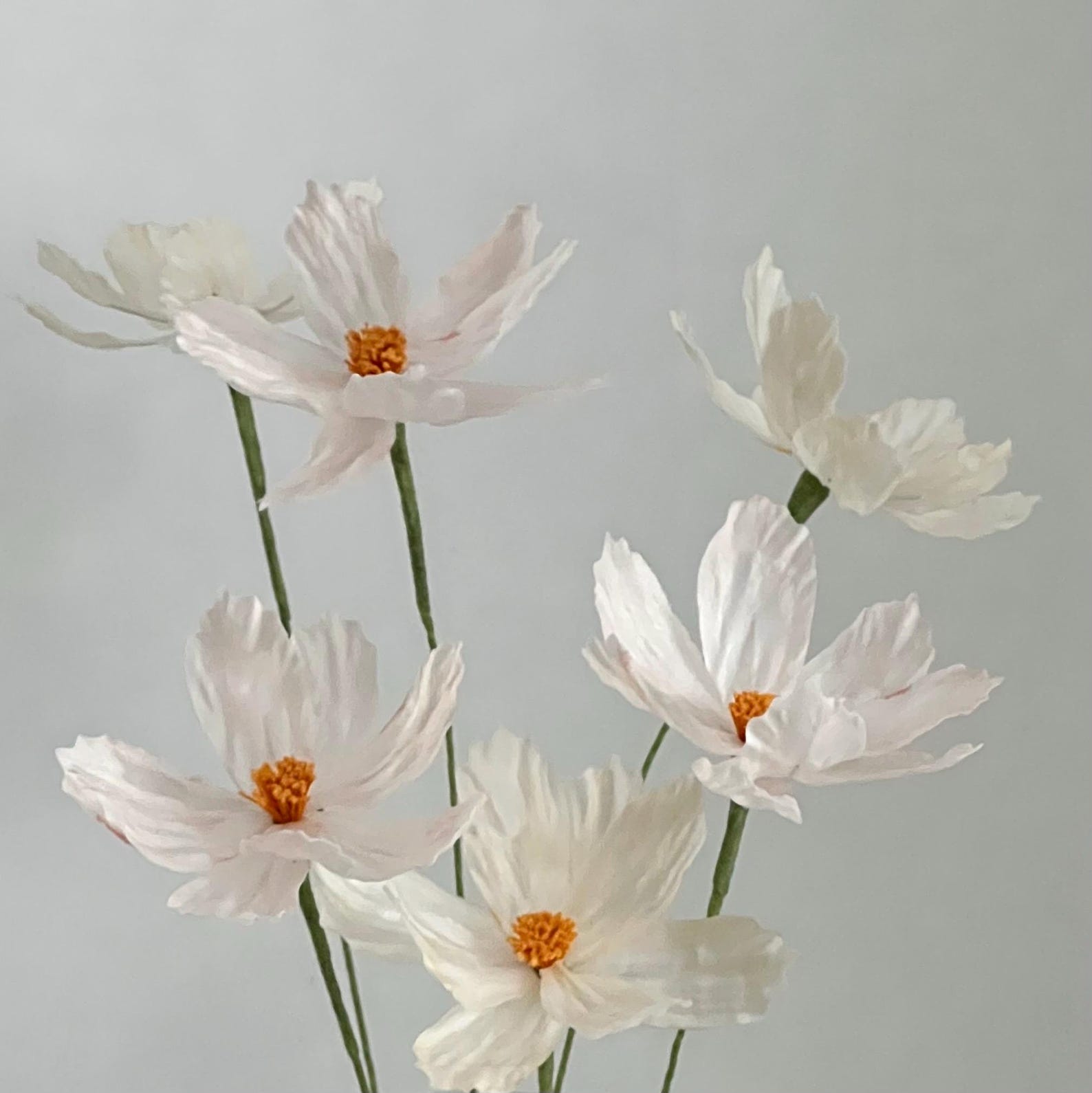 Edible Wafer Paper Cosmos for Cake Decoration Toppers - for Wedding ...