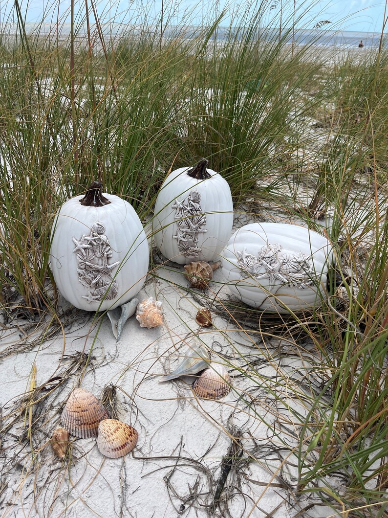 Large White Coastal Pumpkin - Etsy