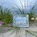 Coastal Picture Frame for 5x7 Horizontal Photograph, Light Coastal ...