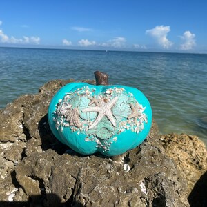 Coastal, Beach-inspired Pumpkin - Etsy