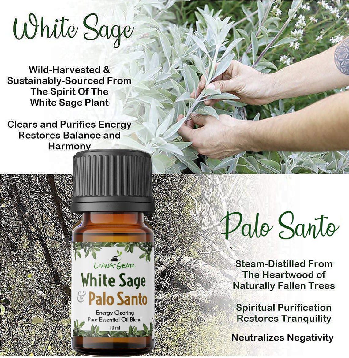 White Sage and Palo Santo Diffuser Essential Oil for Energy Clearing ...