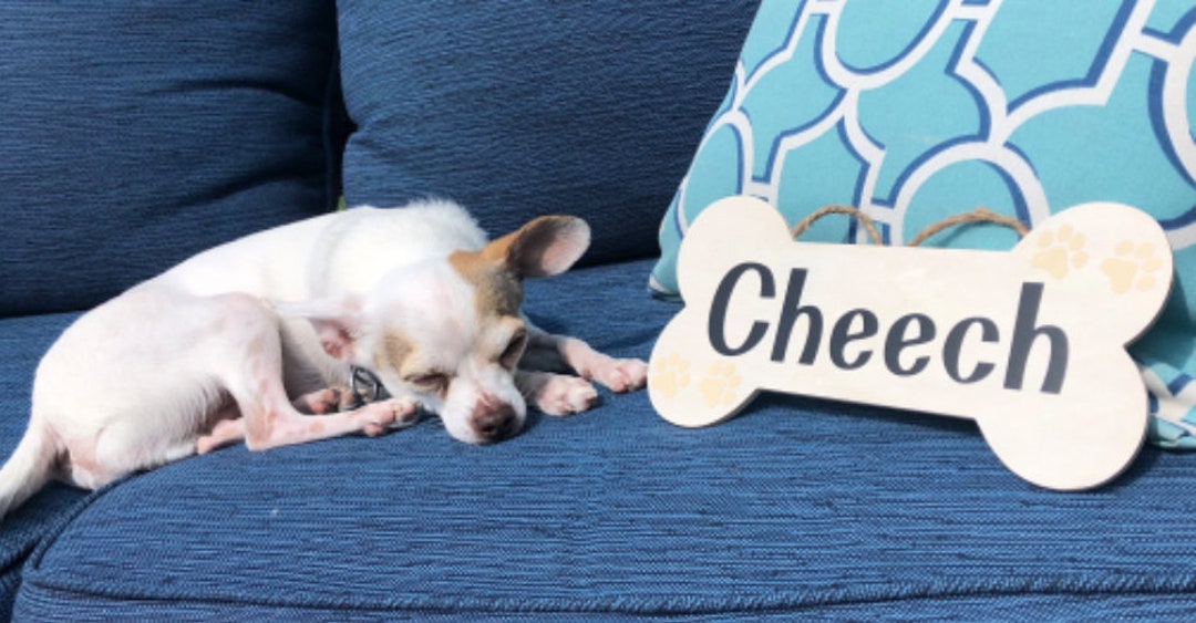 Wooden Custom Dog Bone Sign - Etsy
