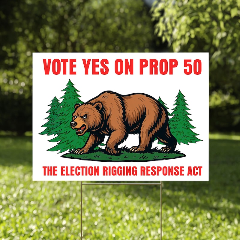 Yes on Prop 50 - Etsy