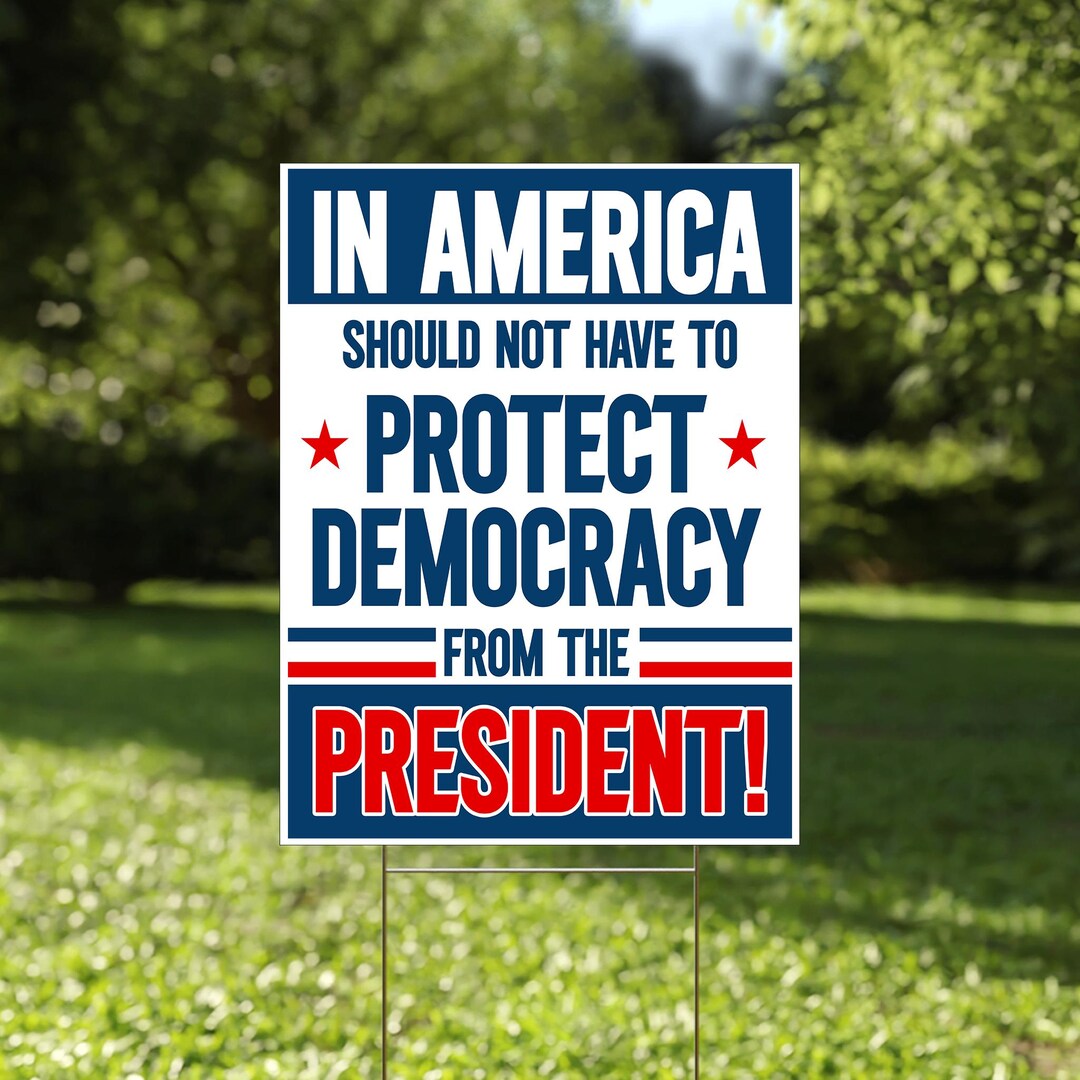 No Kings Protest Sign, Protect Democracy, Anti Trump Sign, Political ...