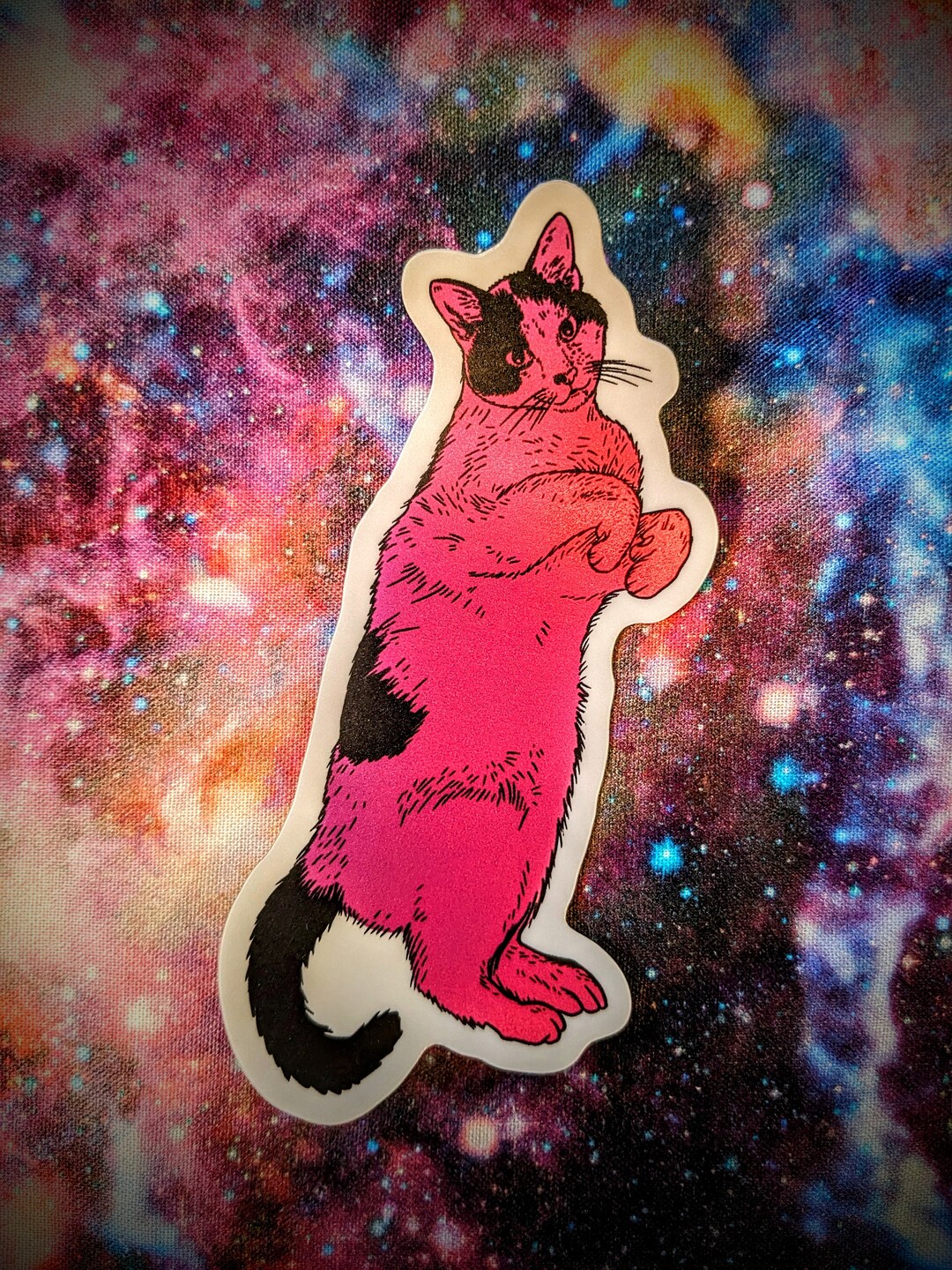 Star Boy Cat Sticker - Etsy