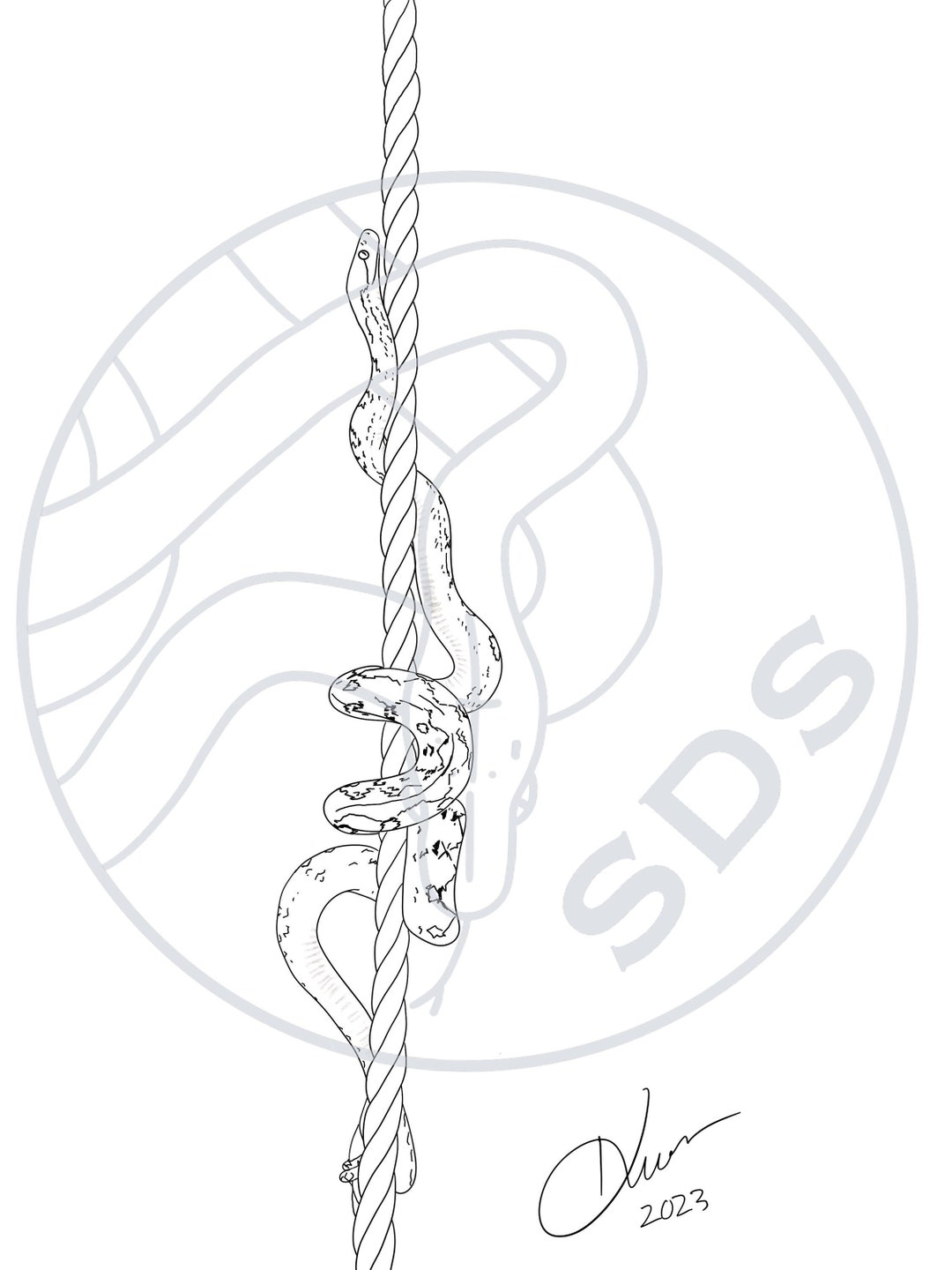 Super Dwarf Reticulated Python Snake Climbing Digital Art Print Reptile ...