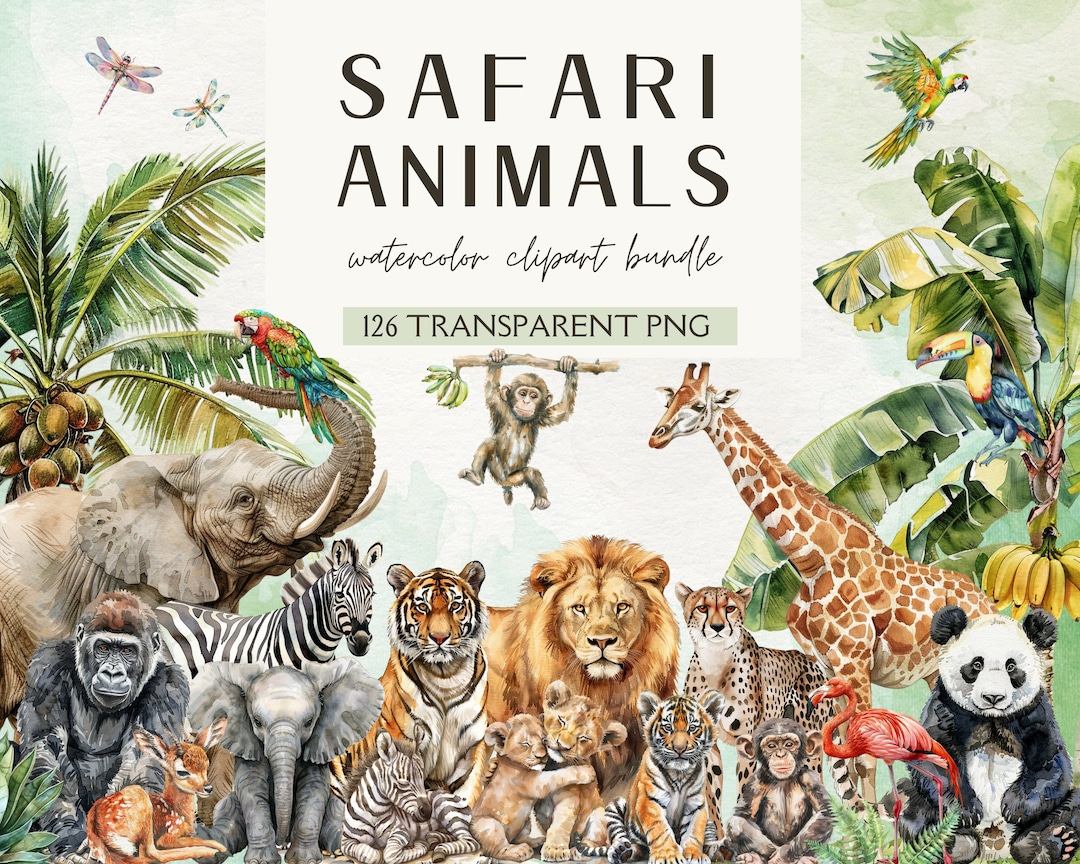 Safari Animals, Watercolor Jungle Animals PNG, Safari Baby Animals ...