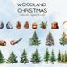 Woodland Christmas Clipart, Watercolor Winter PNG, Forest Christmas ...