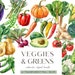 Veggie Bundle Watercolor Clipart, Vegetables Collection, Eco Vegan ...