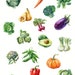 Veggie Bundle Watercolor Clipart, Vegetables Collection, Eco Vegan ...