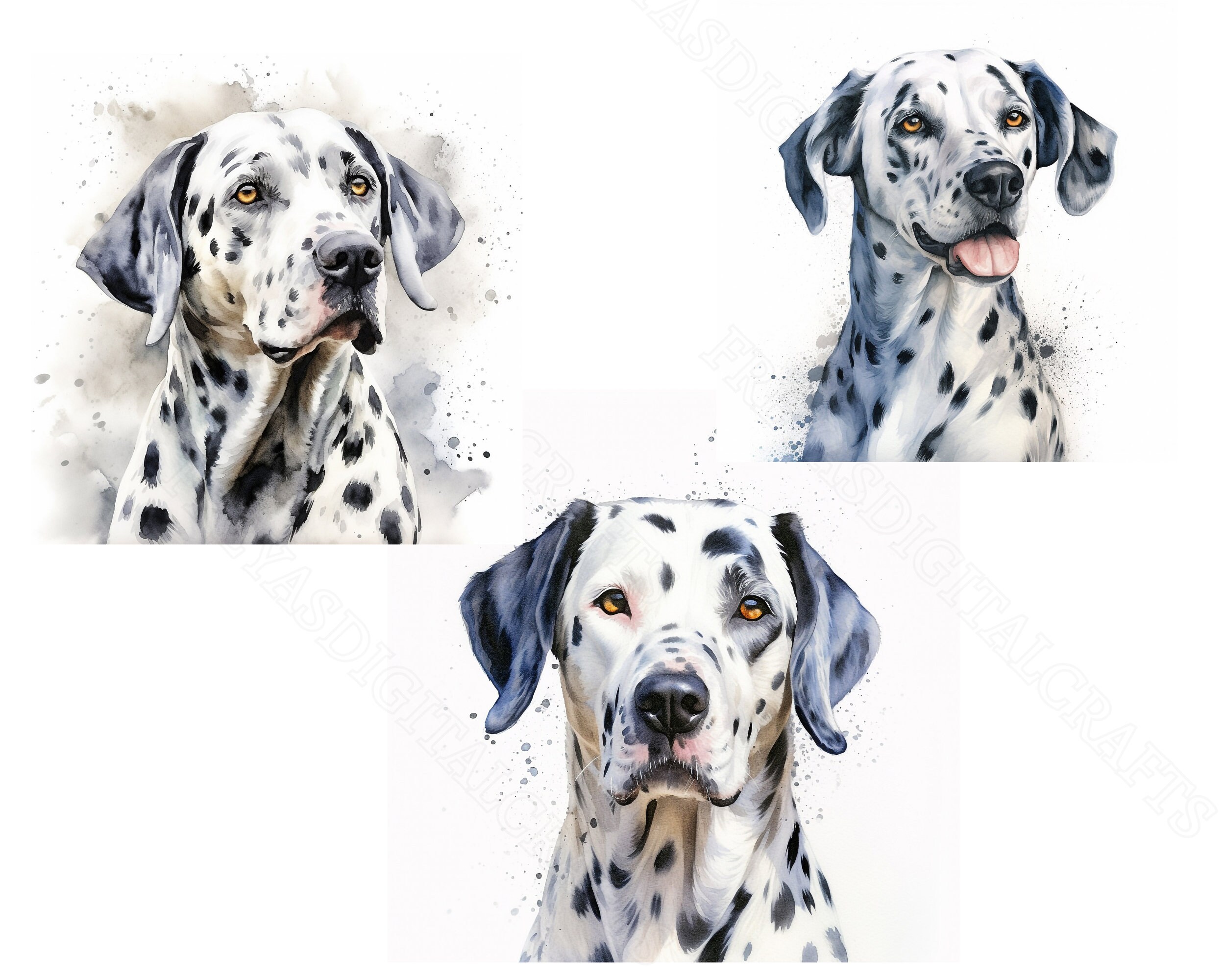 12 Dalmatian Clipart-high Quality Jpg-dog Clipart-card - Etsy
