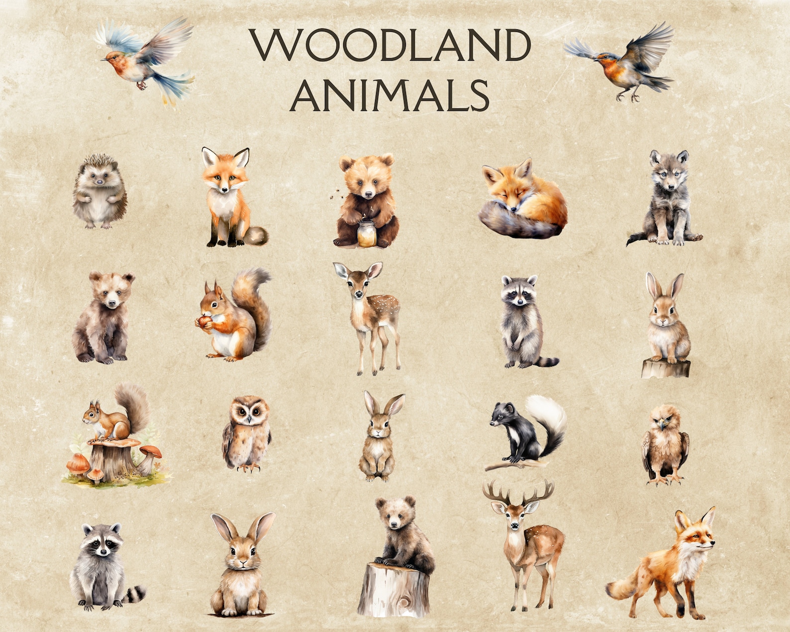 Woodland Animals, Watercolor Forest Animals PNG, Forest Baby Animals ...