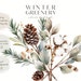 Watercolor Winter Greenery Clipart-winter Botanicals Clipart-watercolor ...