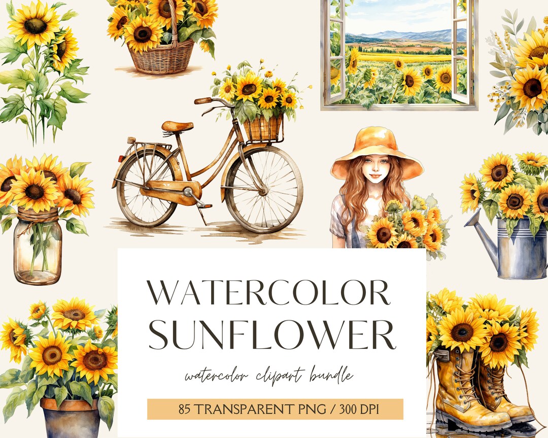 Sunflowers Watercolor Clipart, Fall Sunflower Floral Bouquets in PNG ...