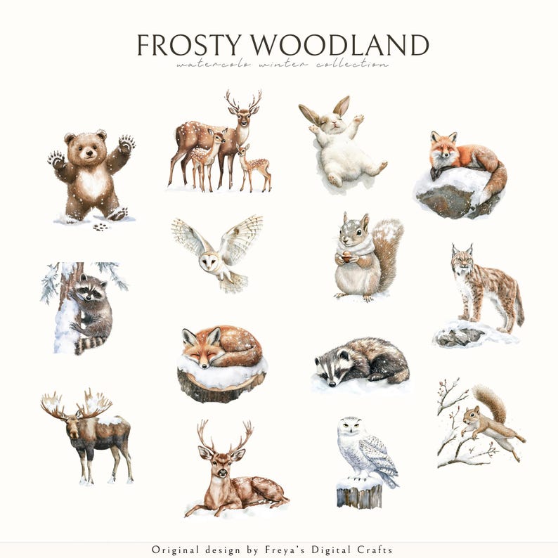 Watercolor Winter Woodland Animals Clipart, Cute Animals, Winter ...