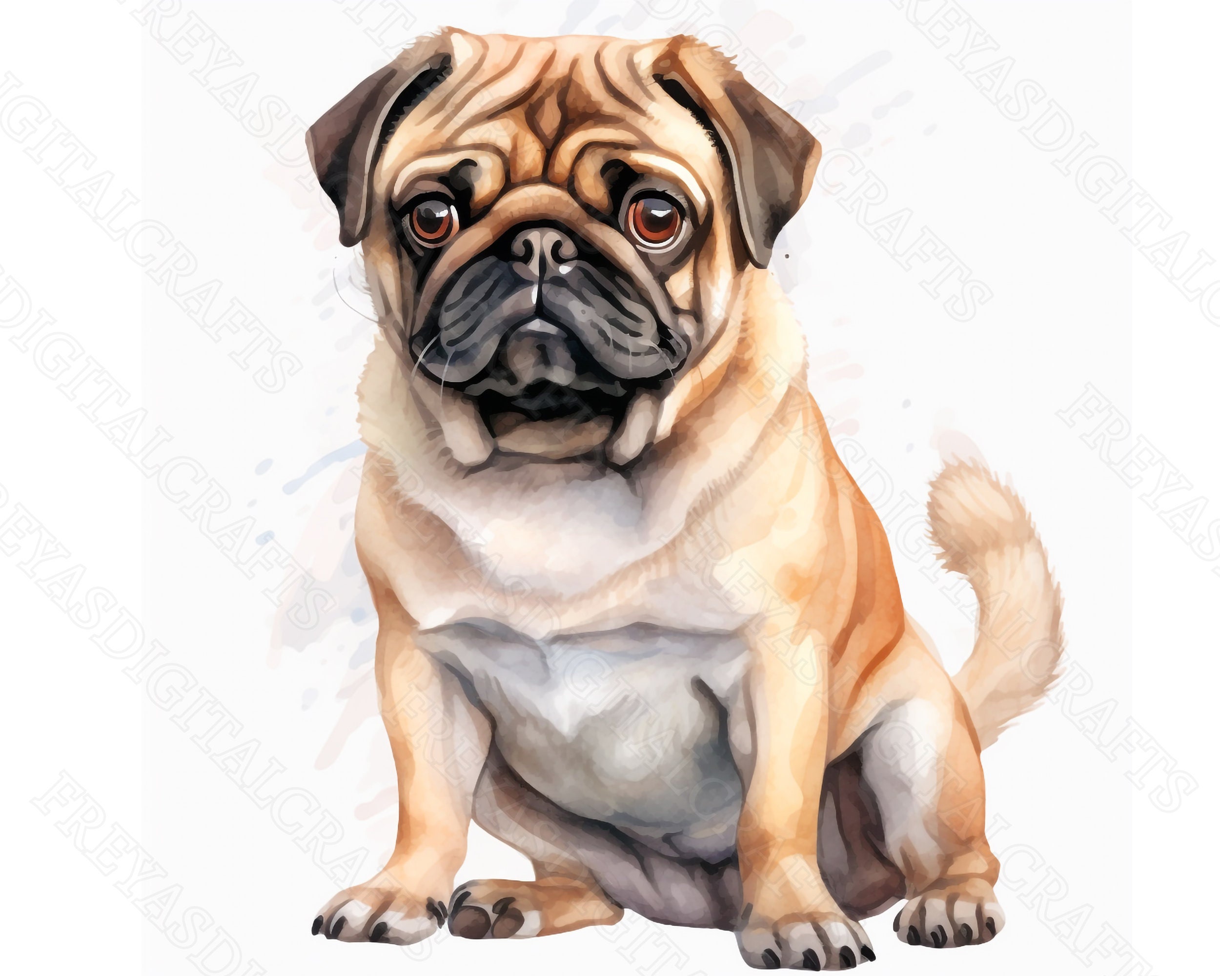 12 Pug Clipart-300 Dpi Jpg-dog Clipart-card Making-digital - Etsy