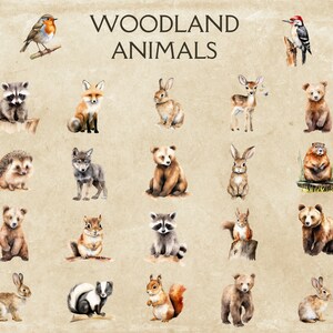 Woodland Animals, Watercolor Forest Animals PNG, Forest Baby Animals ...