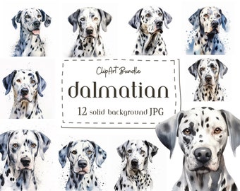 12 Dalmatian Clipart PNG Bundle Watercolor Dog Clipart PNG - Etsy