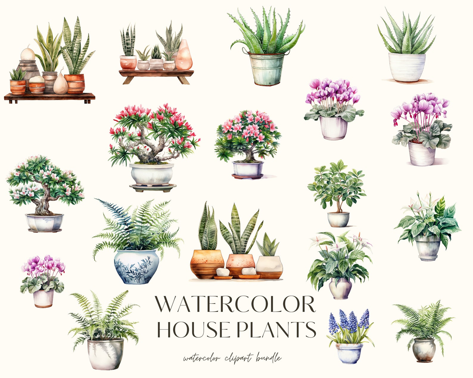 House Plants Watercolor Clipart Watercolor Indoor Plants Watercolor ...