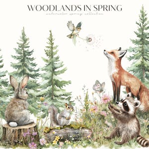 Woodland Animals Clipart, Watercolor Spring Forest Animals PNG, Forest ...