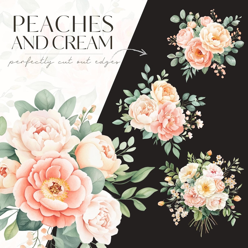 Watercolor Blush Peach Floral Clipart, Peach Peony, Dreamy Floral ...