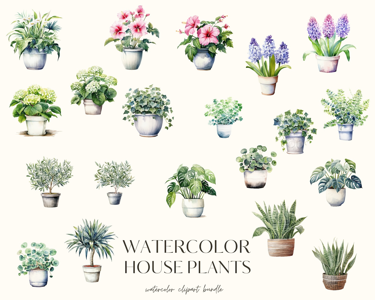 House Plants Watercolor Clipart Watercolor Indoor Plants Watercolor ...