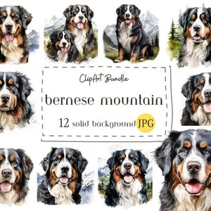 12 Bernese Mountain Clipart-300 Dpi Jpg-dog Clipart-card Making-digital ...