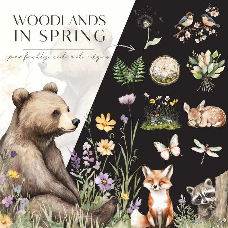 Woodland Animals Clipart, Watercolor Spring Forest Animals PNG, Forest ...