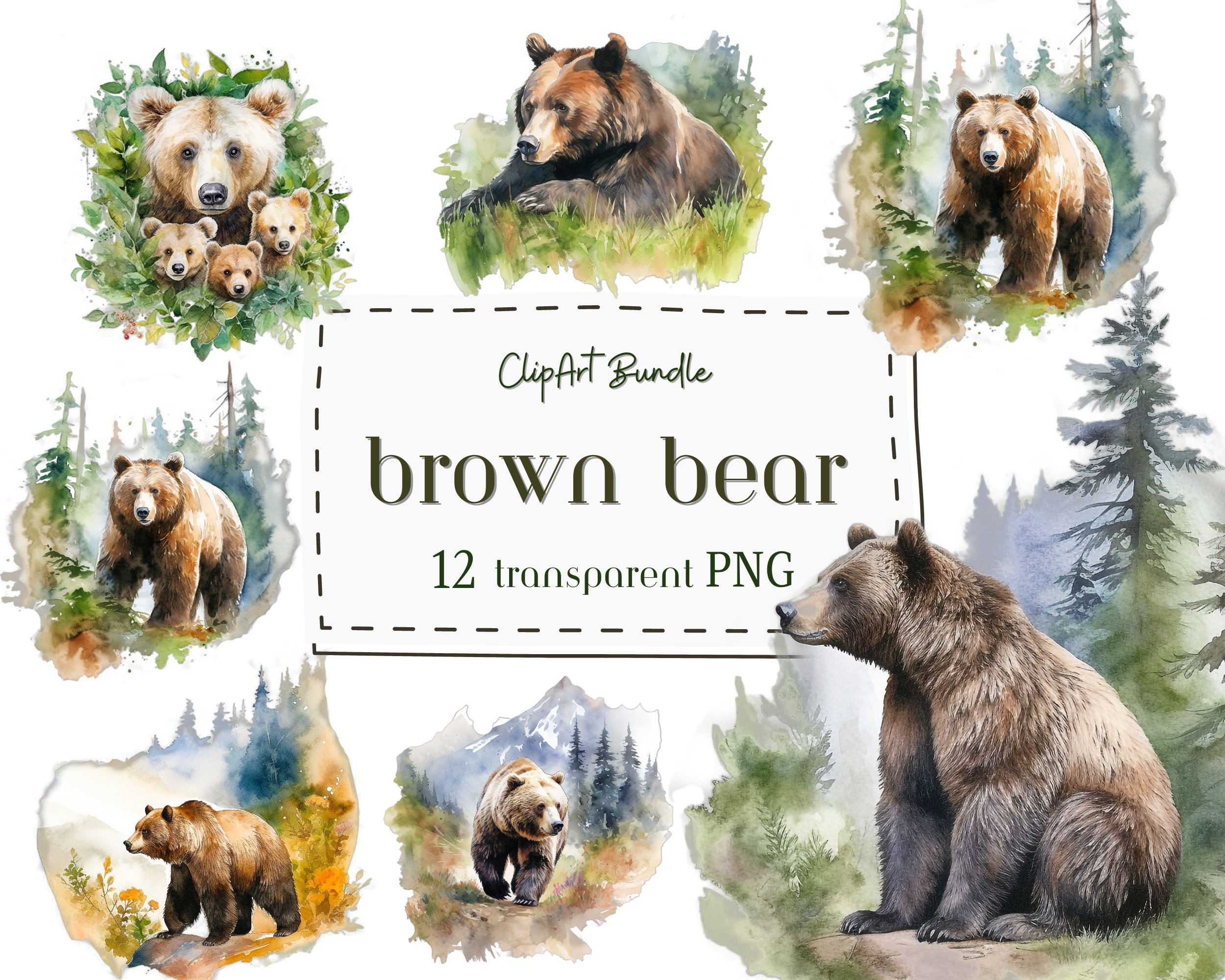 12 Bear Watercolor Clipart Illustration high Quality PNG - Etsy