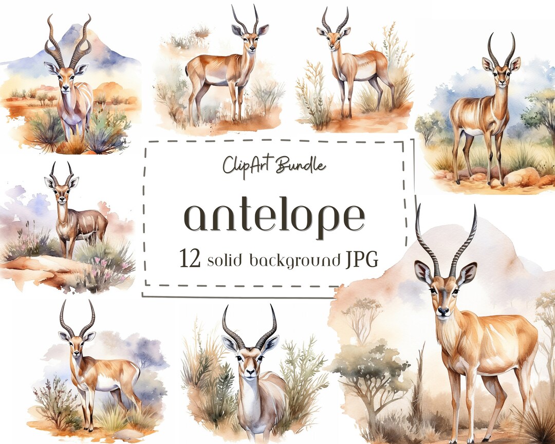 12 Antelope Clipart-high Quality Jpg-nursery Art-card Making-digital ...