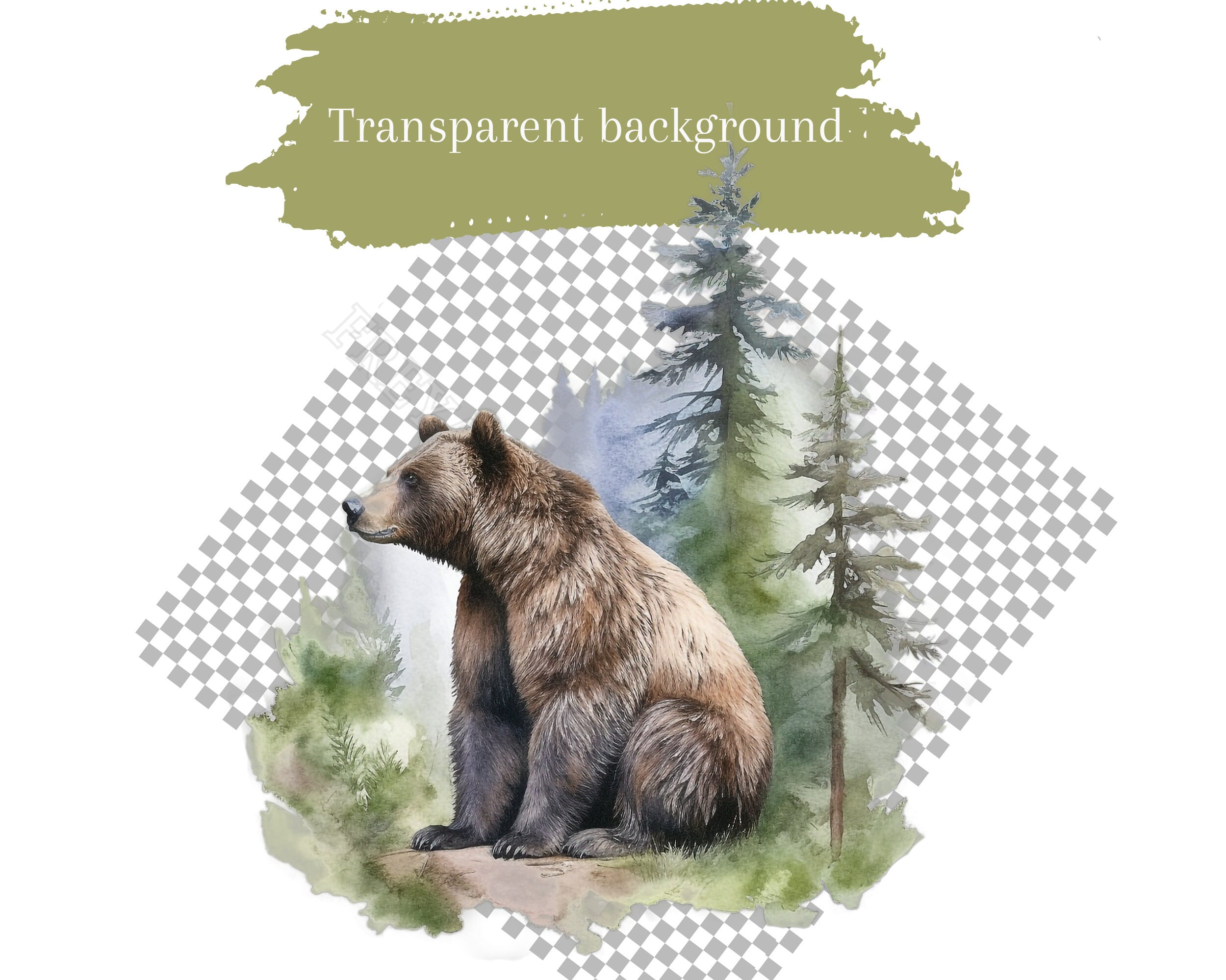 12 Bear Watercolor Clipart Illustration high Quality PNG - Etsy