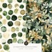 Forest Pattern, Evergreen Seamless Pattern, Botanical Pattern, Woodland ...