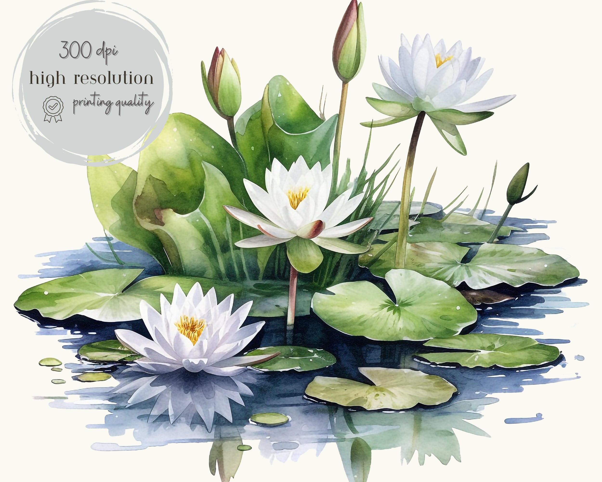 12 Watercolor Lily Pond Clipart Springtime Cute Lily Pad and Frog Pond ...