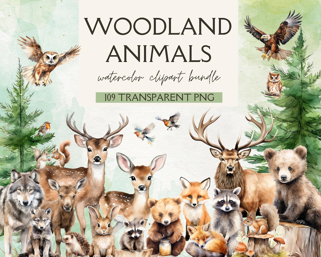 Woodland Animals, Watercolor Forest Animals PNG, Forest Baby Animals ...