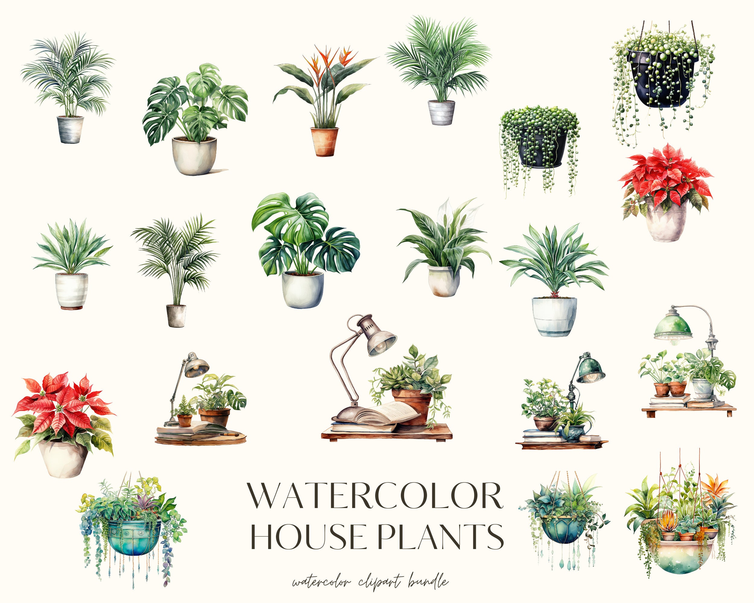 House Plants Watercolor Clipart Watercolor Indoor Plants Watercolor ...