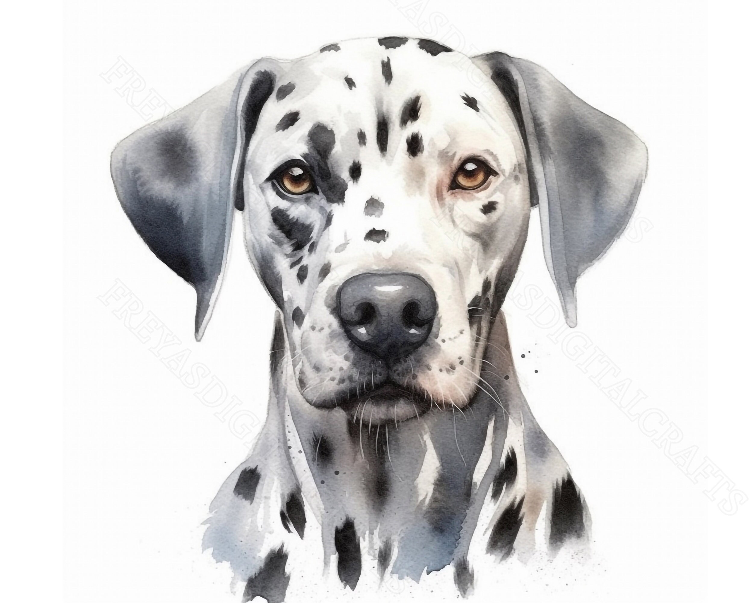 12 Dalmatian Clipart-high Quality Jpg-dog Clipart-card - Etsy
