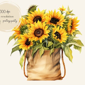 Sunflowers Watercolor Clipart, Fall Sunflower Floral Bouquets in PNG ...