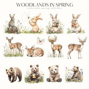 Woodland Animals Clipart, Watercolor Spring Forest Animals PNG, Forest ...