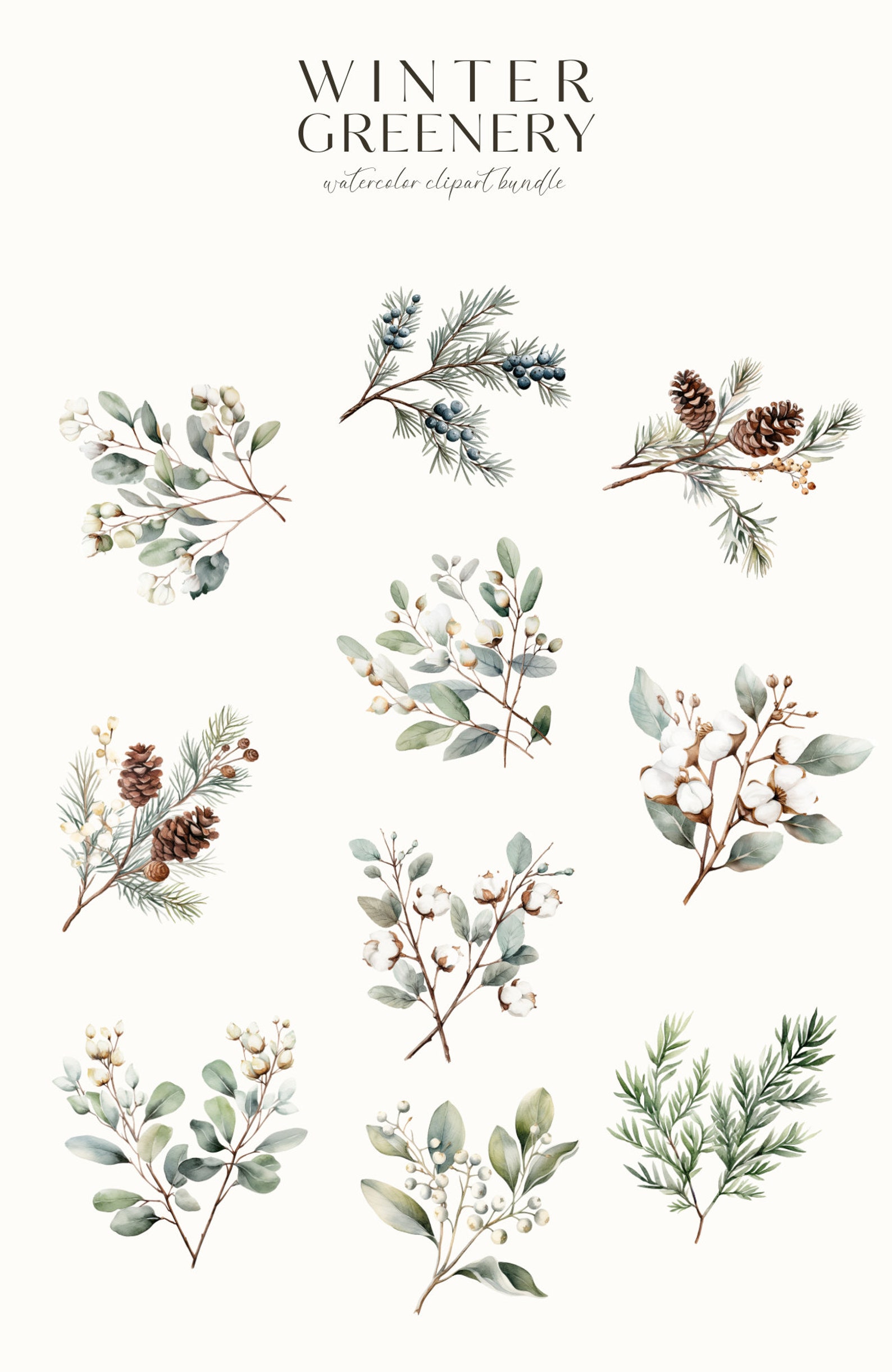 Watercolor Winter Greenery Clipart-winter Botanicals Clipart-watercolor ...