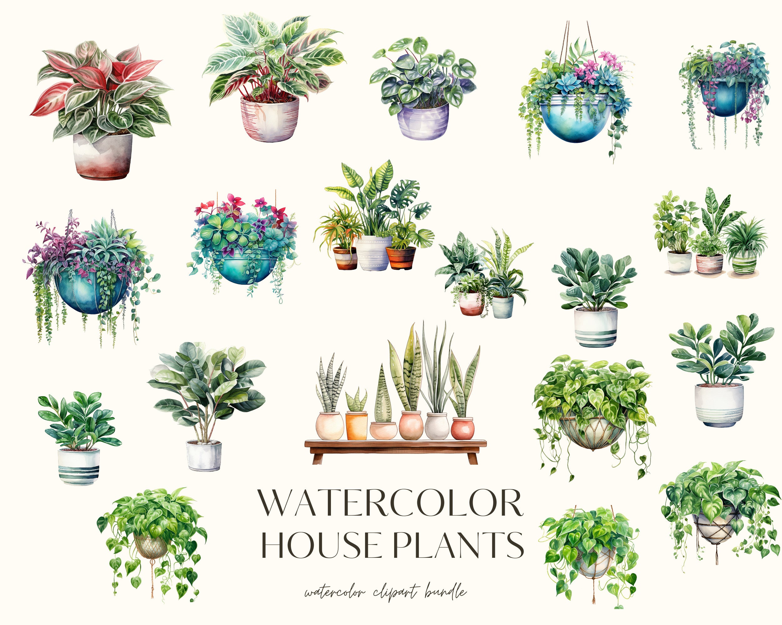 House Plants Watercolor Clipart Watercolor Indoor Plants Watercolor ...