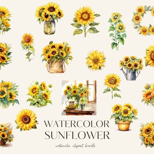 Sunflowers Watercolor Clipart, Fall Sunflower Floral Bouquets in PNG ...