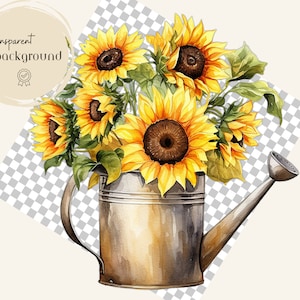 Sunflowers Watercolor Clipart, Fall Sunflower Floral Bouquets in PNG ...