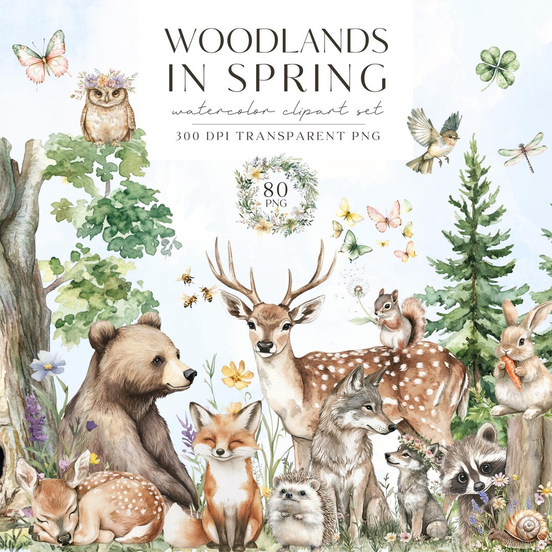 Woodland Animals Clipart, Watercolor Spring Forest Animals PNG, Forest ...