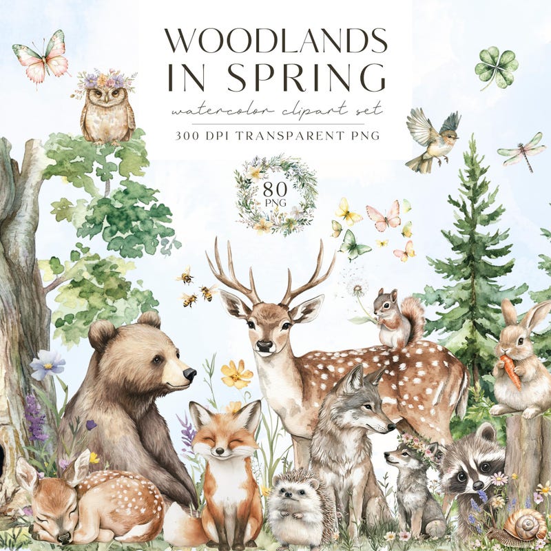 Woodland Animals Clipart - Etsy